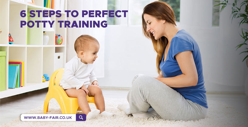 6 Steps to Perfect Potty Training - Babyfair Ltd