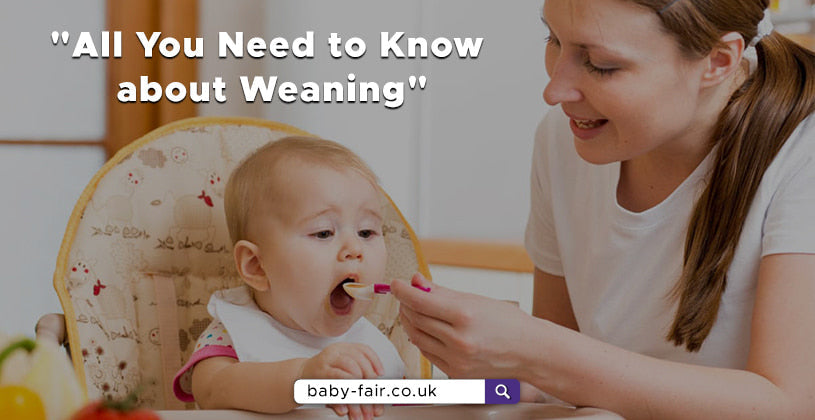 All You Need to Know about Weaning - Babyfair Ltd